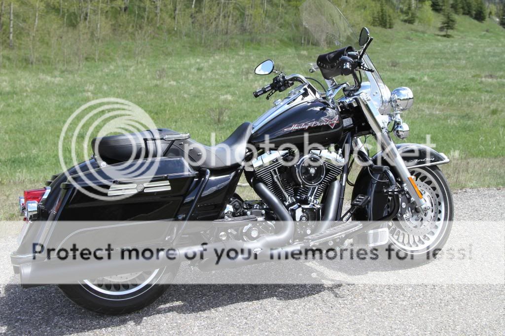 Grab Rails | Harley Davidson Forums