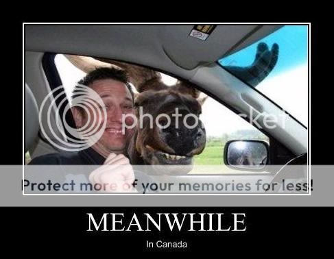 Meanwhile... | M109 Rider Forums