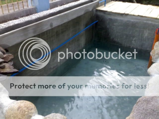 veggie filter designs that work well? - Page 2