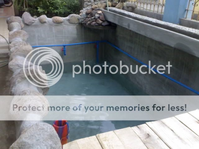 veggie filter designs that work well? - Page 2