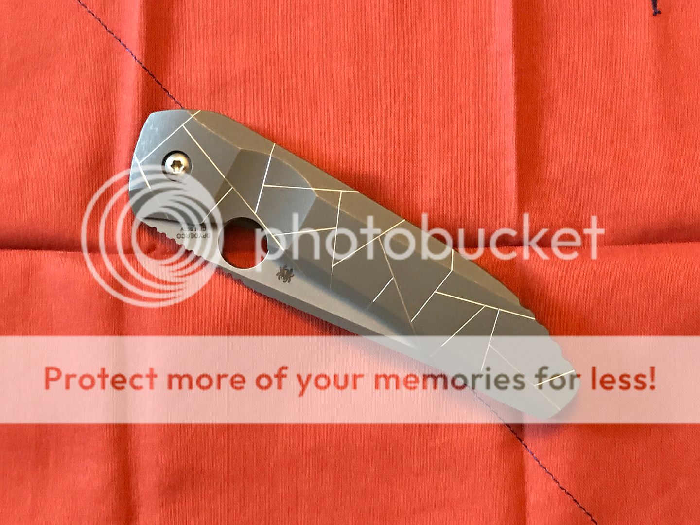 Spyderco Nirvana LNIP | BladeForums.com