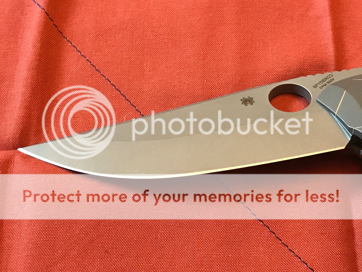 Spyderco Nirvana LNIP | BladeForums.com