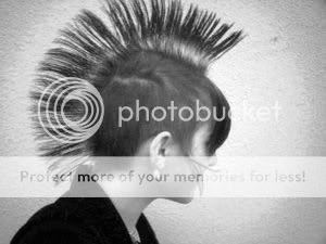 Who's bringing there MoHawk? | VW Vortex - Volkswagen Forum