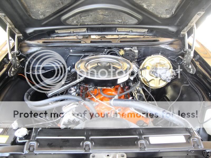 What air cleaner assembly is this? | Team Chevelle