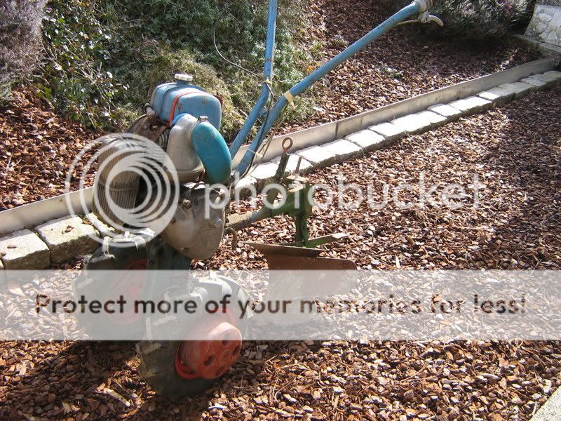 schefenacker as 5 super - Alles rund um die Motorsäge: www.motorsaegen ...