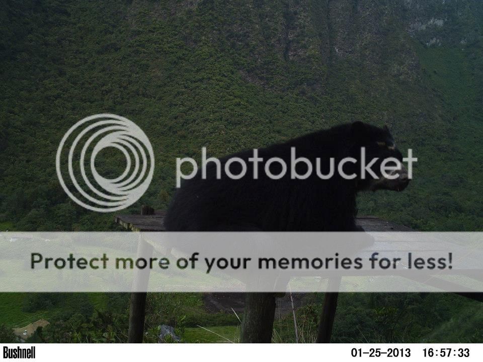 Game camera recommendations? - Field Herp Forum