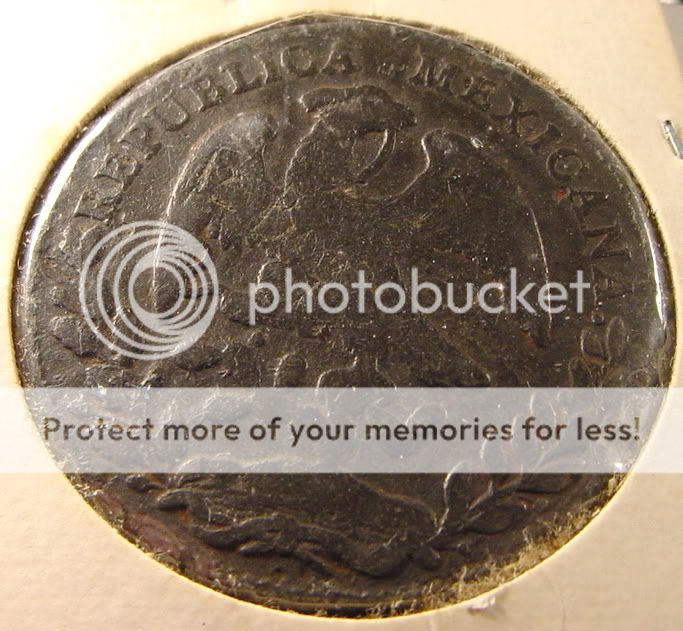 I want to see the worst examples of fake coins. | Coin Talk